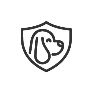 Dog Insurance Online | Compare Dog Insurance Quotes | PD Insurance