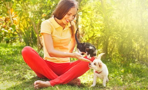 Love Your Pet Day: 10 Ways To Love Them - PD Insurance NZ