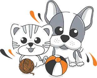 PD Insurance NZ | Save on Pet Insurance NZ Quotes | PD Insurance