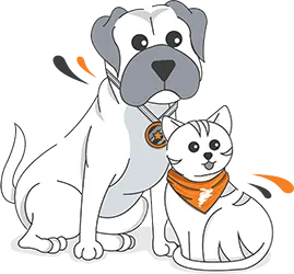 PD Insurance NZ | Save on Pet Insurance NZ Quotes | PD Insurance