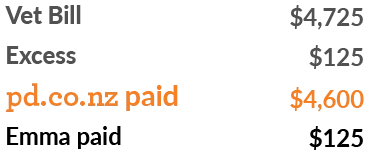 Pet Insurance NZ Quotes | Pet Plan Savings | PD Insurance