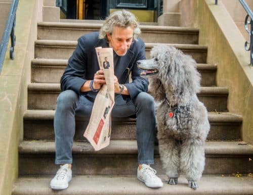 Guide Dogs NZ: Top Breeds for this Job - PD Insurance NZ