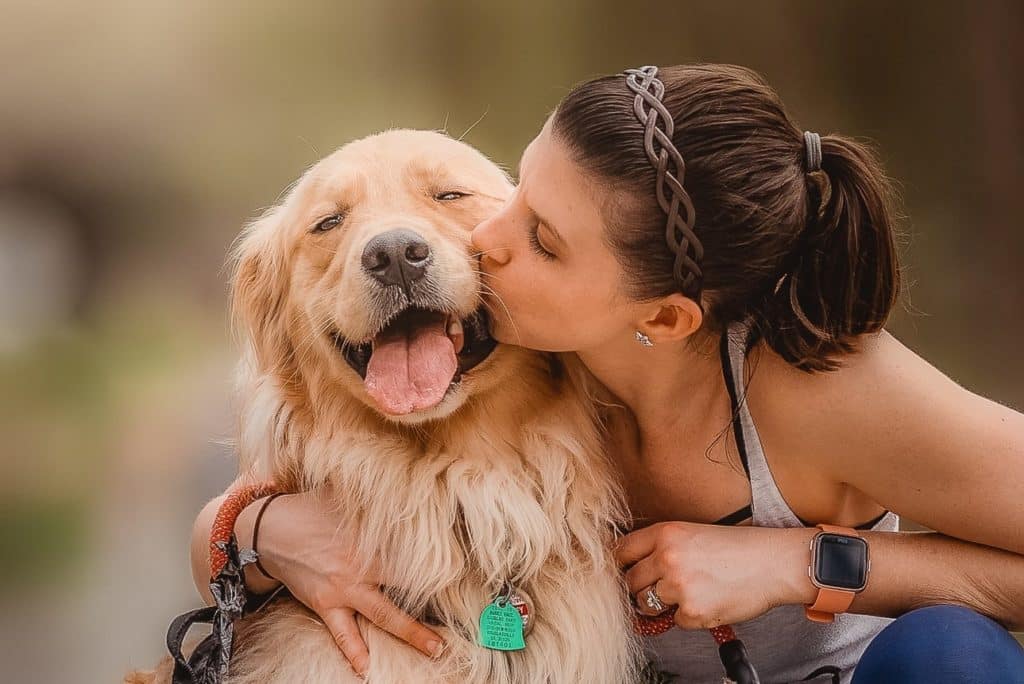 Guide Dogs NZ: Top Breeds for this Job - PD Insurance NZ