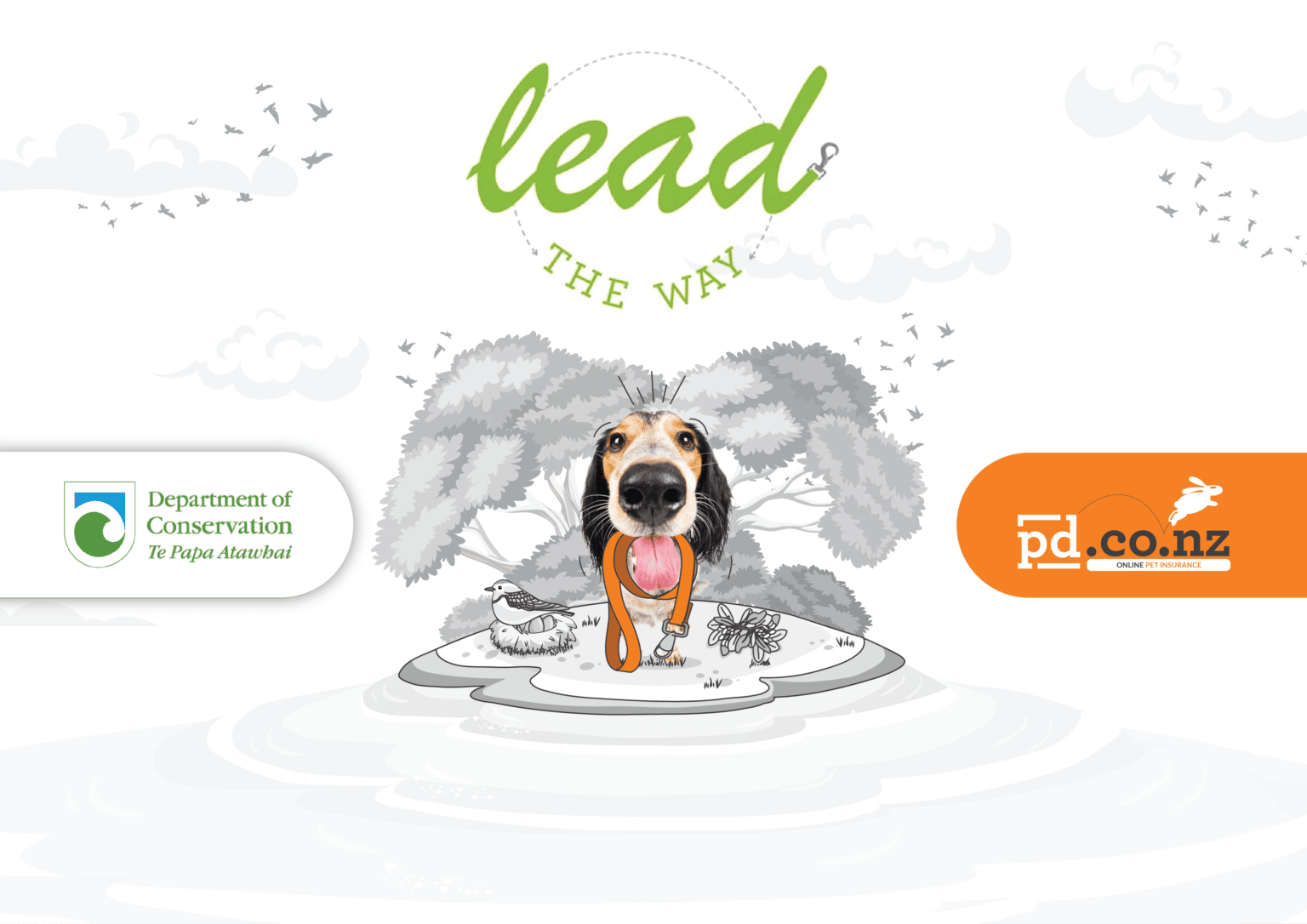 Lead The Way Auckland: Protecting NZ Wildlife - PD Insurance NZ