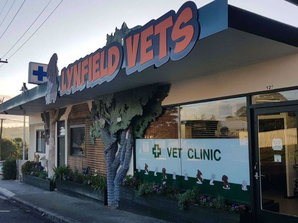 Pet Insurance New Zealand - PD Turns 2 - PD Insurance NZ