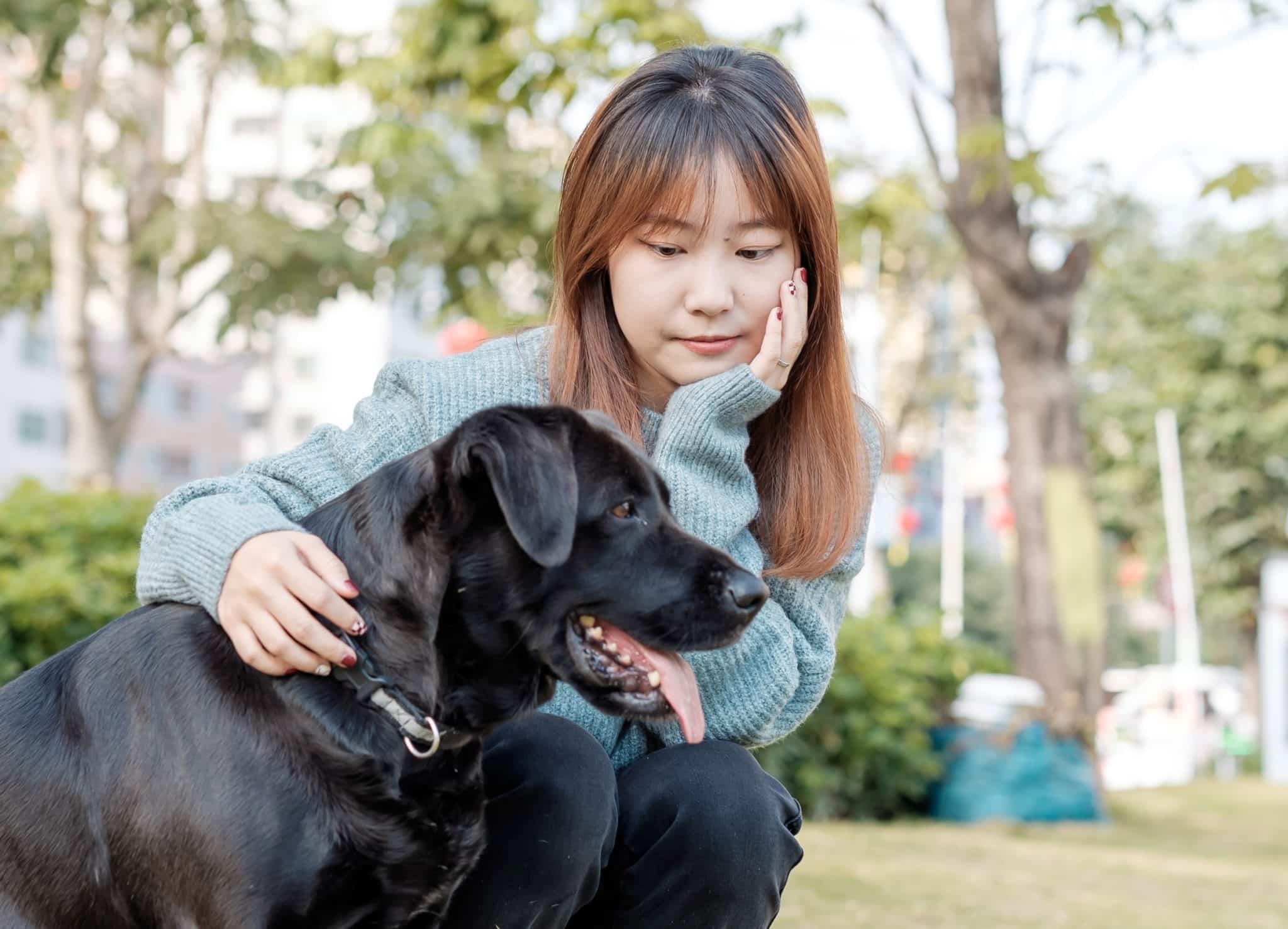Selective Breeding Dogs for Different Traits - PD Insurance NZ