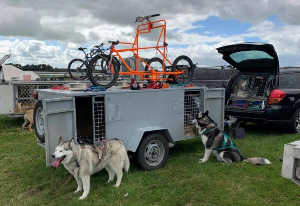 Pet Events: PD Flies its Colours at Pet Expos - PD Insurance NZ