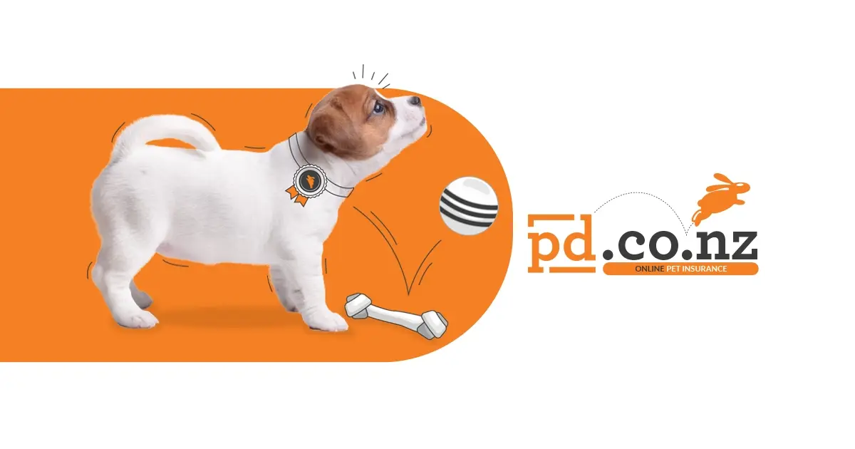 Puppy Insurance NZ | Puppy Health Cover Savings | PD Insurance