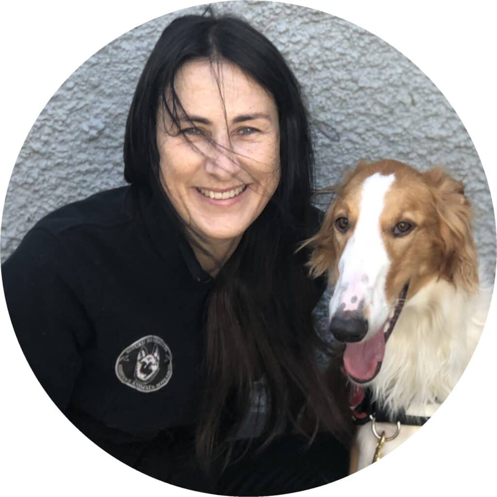 Disability Assist Dog Pups Helping Mental Health & More - pd.co.nz