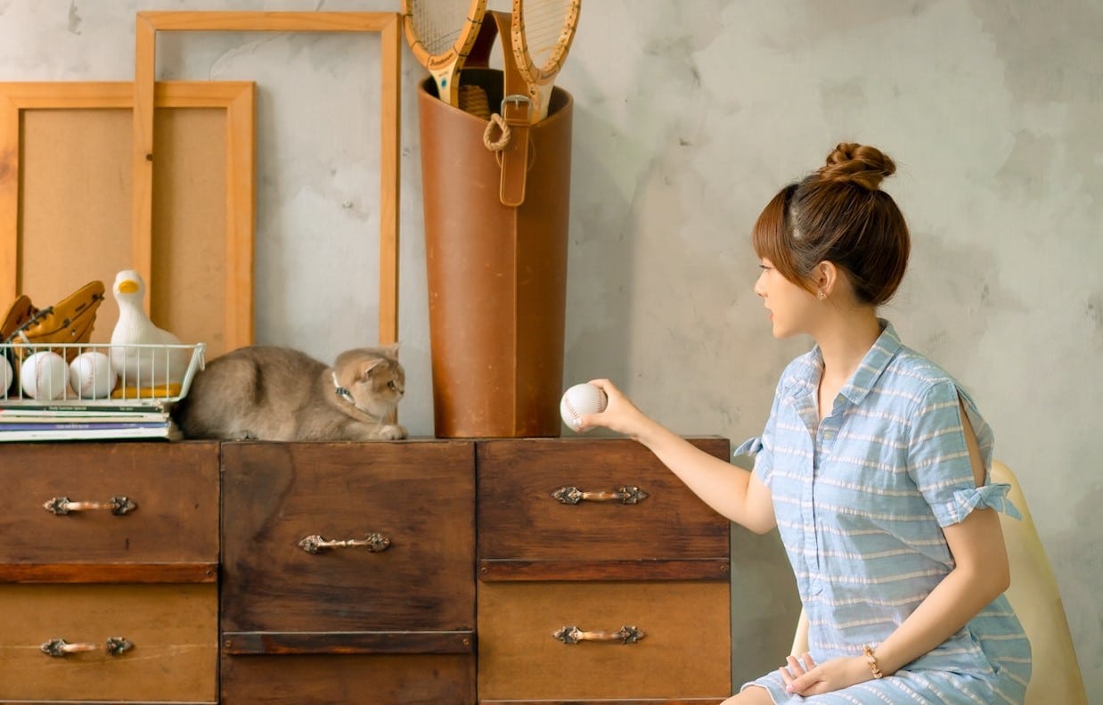 Can You Train a Cat? Really? - PD Insurance NZ