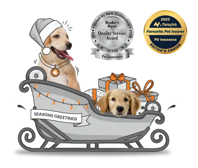 Puppy Insurance NZ | Puppy Health Cover Savings | PD Insurance