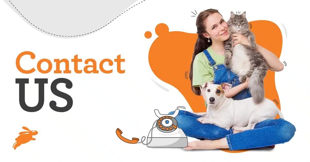 PD Insurance Contact Details | Pet Insurance Savings | PD Insurance