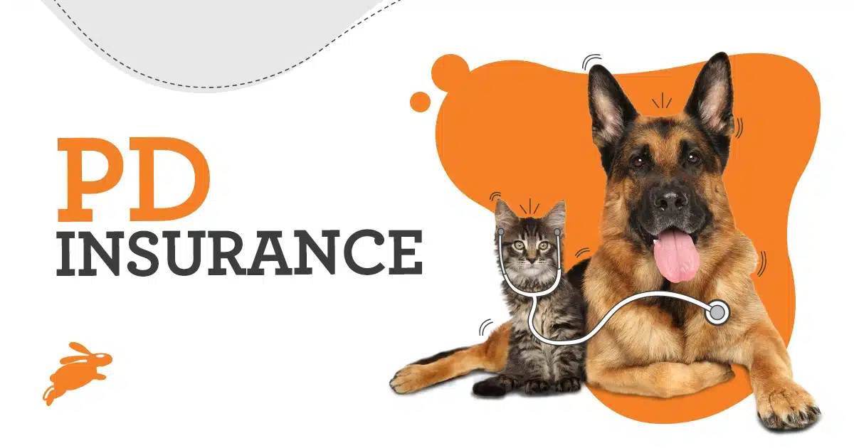 PD Insurance NZ | Save on Pet Insurance NZ Quotes | pd.co.nz