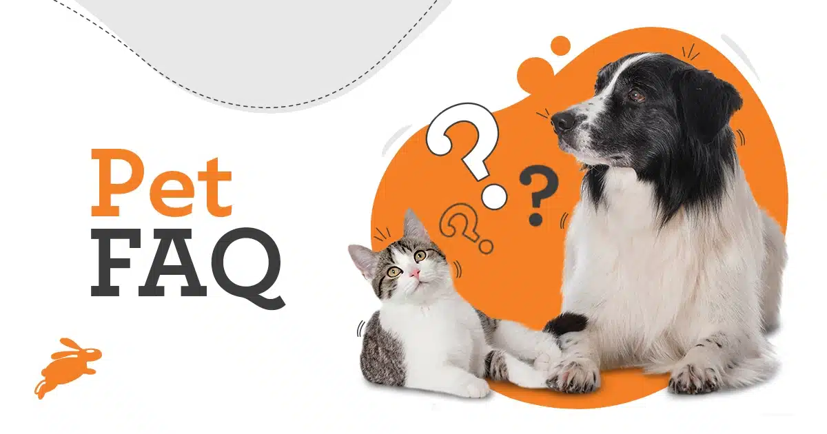 FAQ - PD Insurance NZ