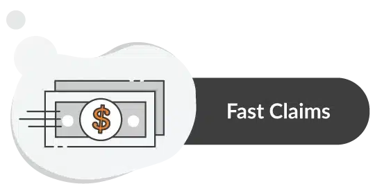 PD Insurance NZ | Save on Pet Insurance NZ Quotes | pd.co.nz