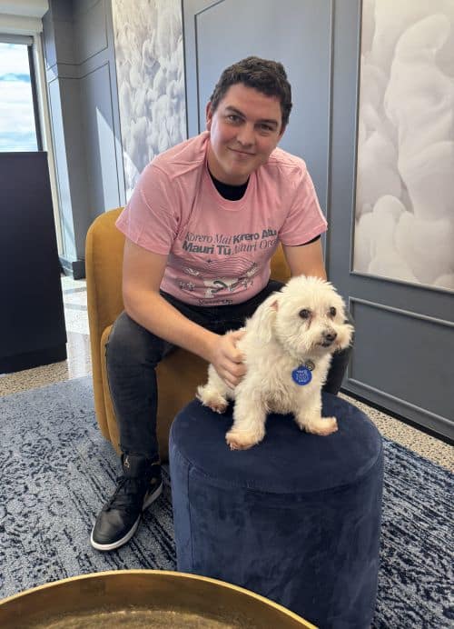 Pink Shirt Day & Pets: How to Get Involved - PD Insurance NZ