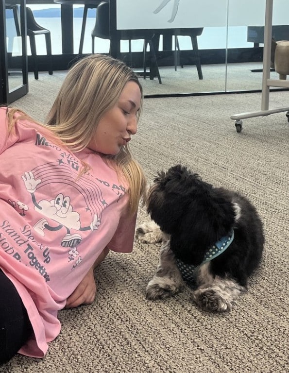 Pink Shirt Day & Pets: How to Get Involved - PD Insurance NZ