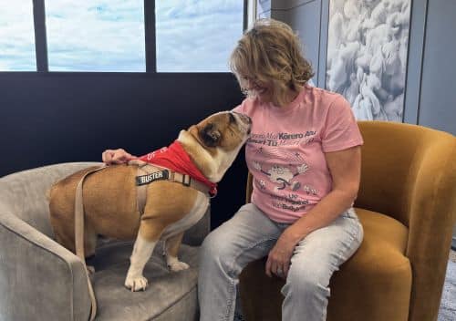 Pink Shirt Day & Pets: How to Get Involved - PD Insurance NZ