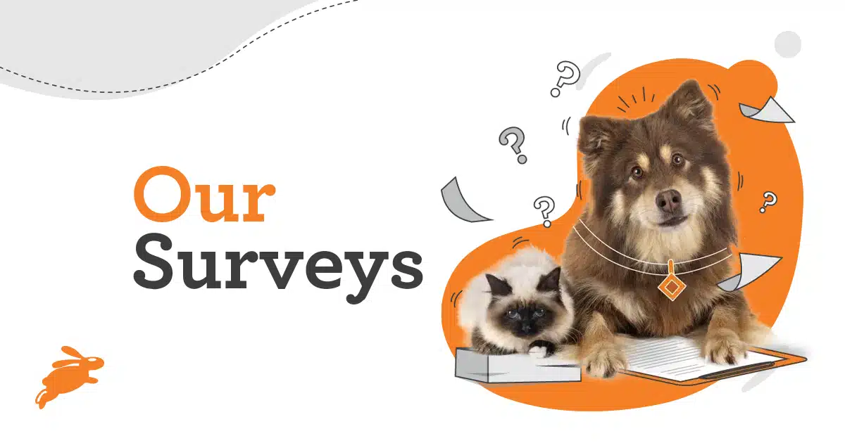 PD Insurance Surveys - PD Insurance NZ