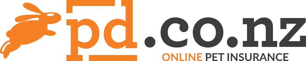 Cat Ownerships Laws in NZ: The Changes To Know About - PD Insurance NZ