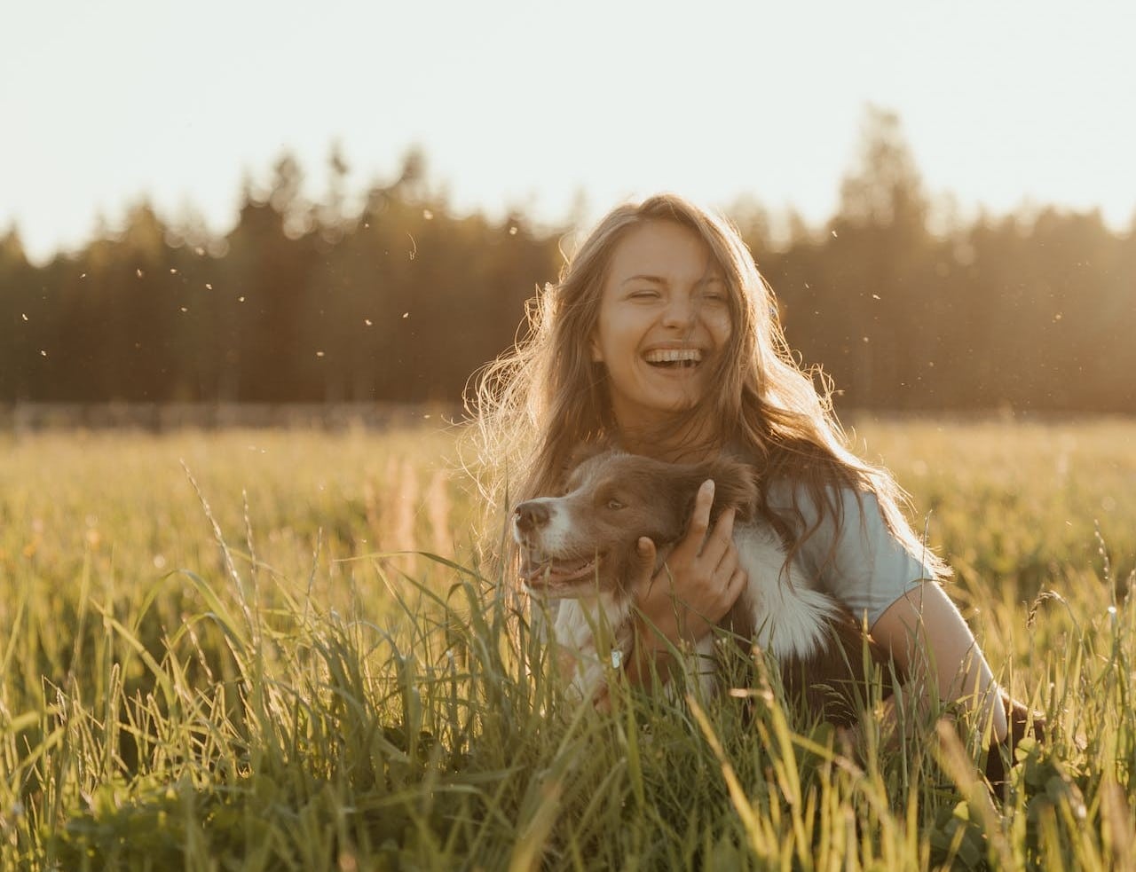 Compare Pet Insurance | Affordable Pet Cover | PD Insurance