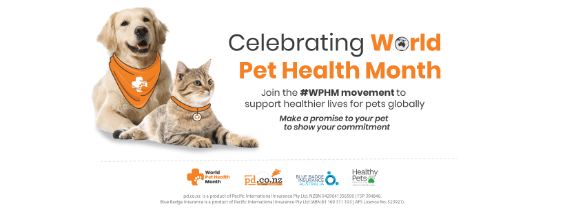 World Pet Health Month - PD Insurance NZ